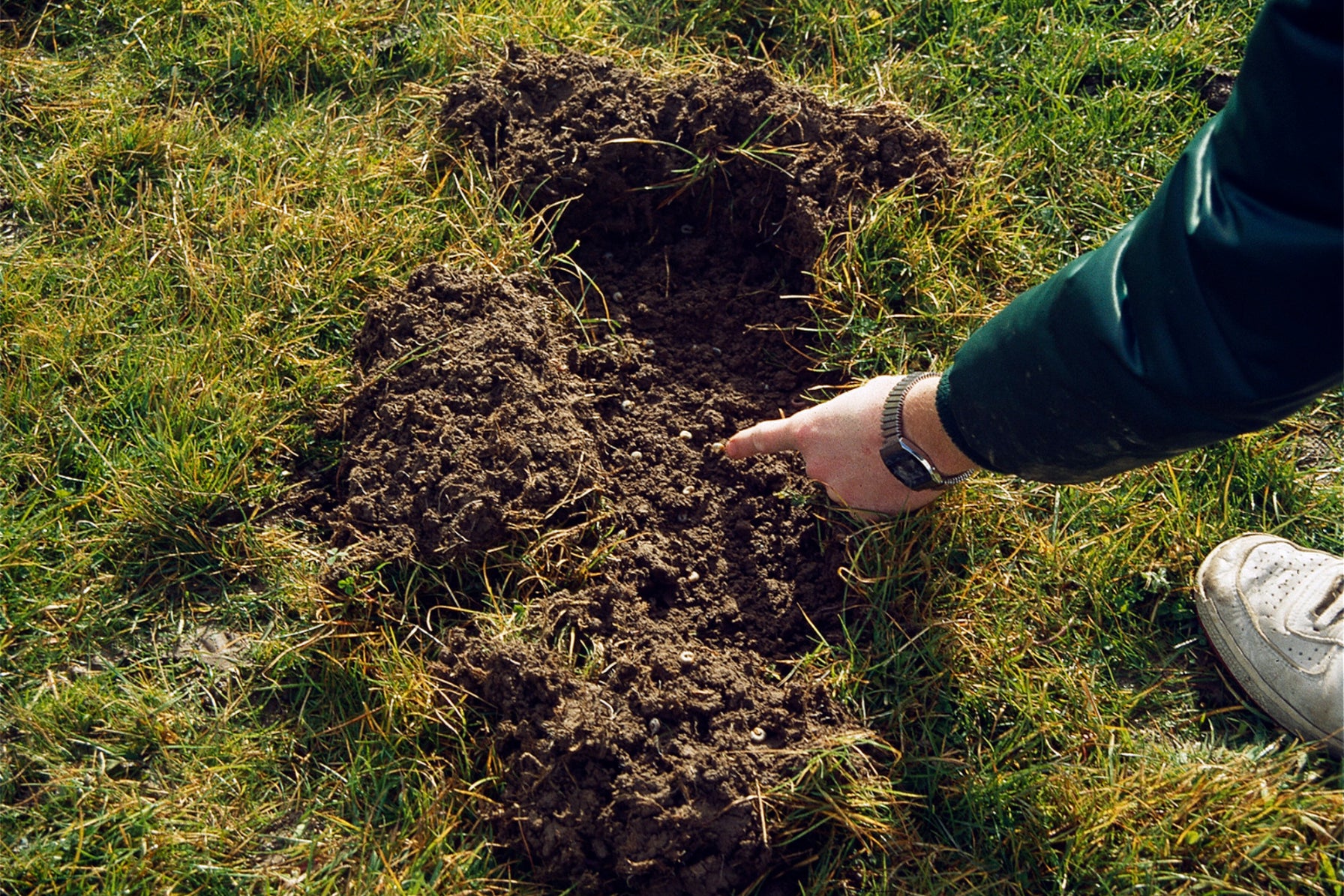 Insects & Fungal Pests - Plateau Sprayers & Earthmoving